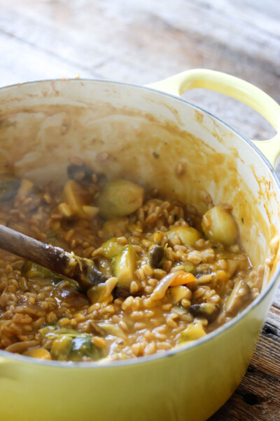One Pot Autumn Vegetable Farrotto - Dishing Out Health