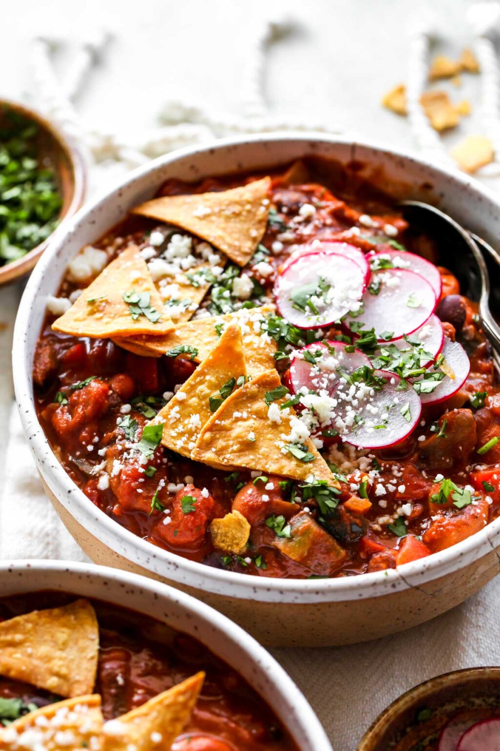 Mole Poblano Chili - Dishing Out Health