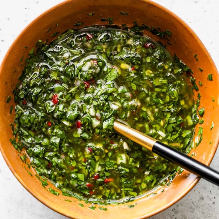 Cilantro Chimichurri - Dishing Out Health