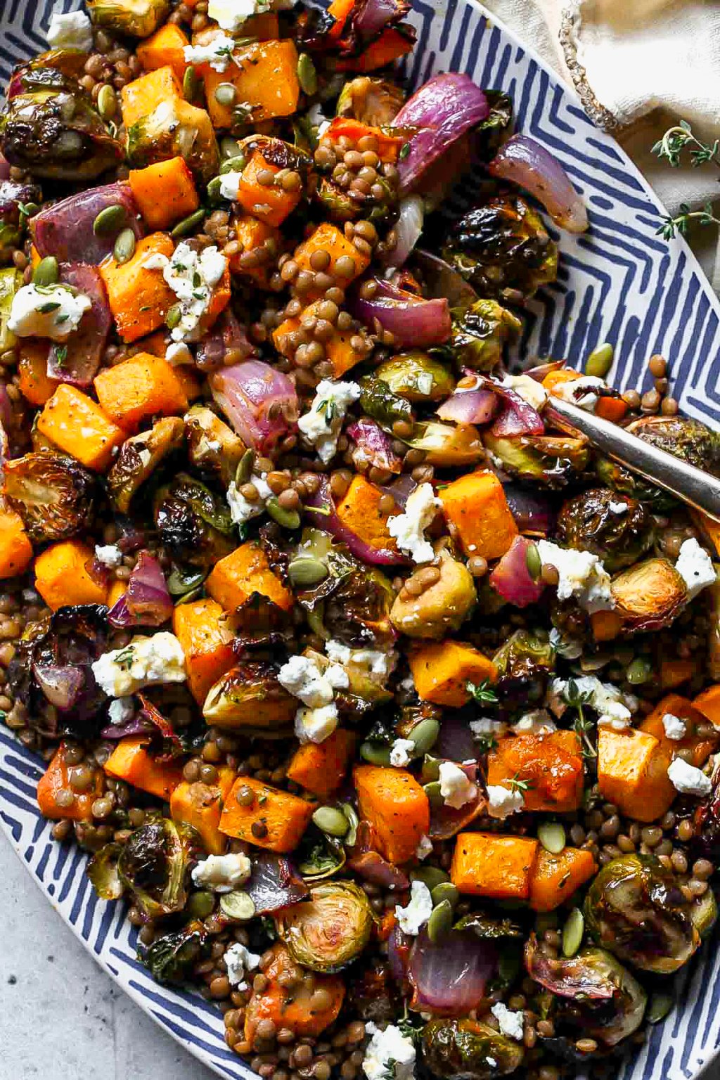 Roasted Veggie Lentil Salad - Dishing Out Health